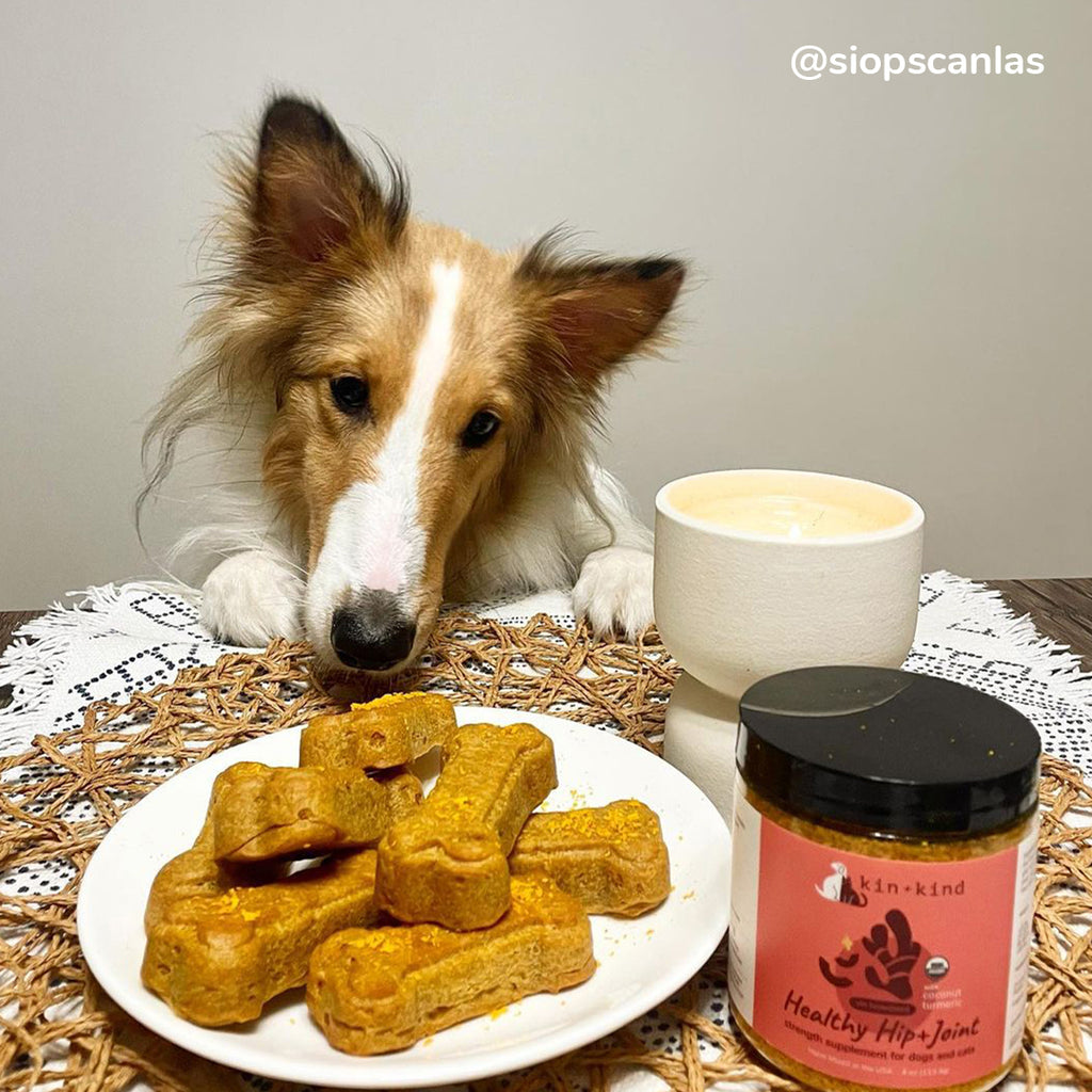 Superfood Supplement Set (Natural & Organic Dog Supplements) – kin+kind ...