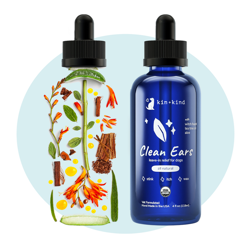 Natural Skin Care for Dogs and Cats – kin+kind - Natural & Organic ...