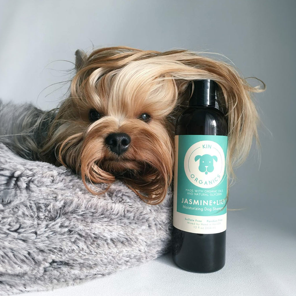 KIN ORGANICS Jasmine+Lily Oatmeal Itchy Dog Shampoo – kin+kind ...