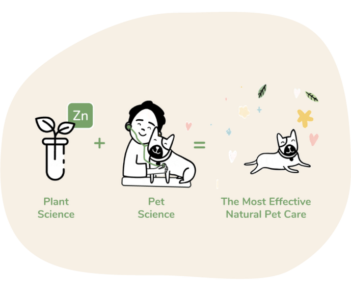 About us – kin+kind - Natural & Organic - Pet Grooming & Wellness